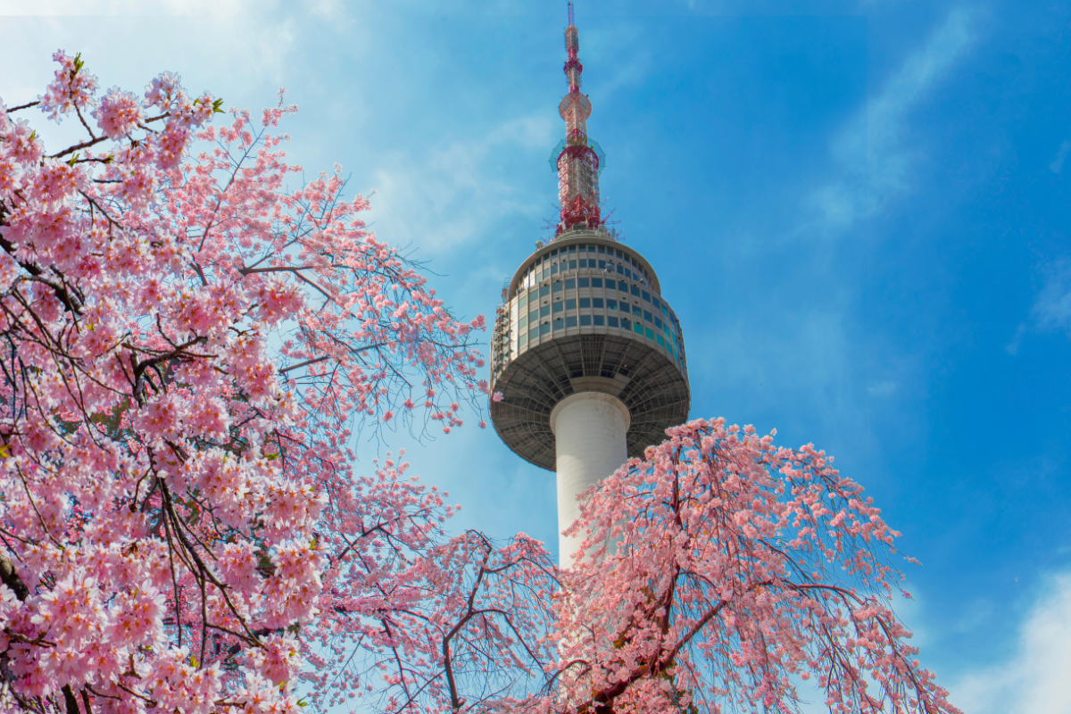 3 cidades que você não pode deixar de conhecer na Coreia do Sul ...